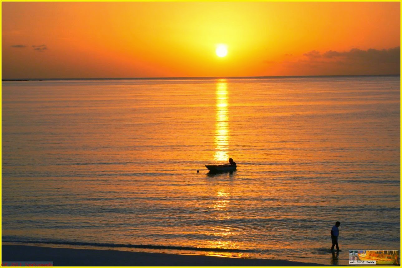 World Citizen: Great Harbour Cay & Berry Islands