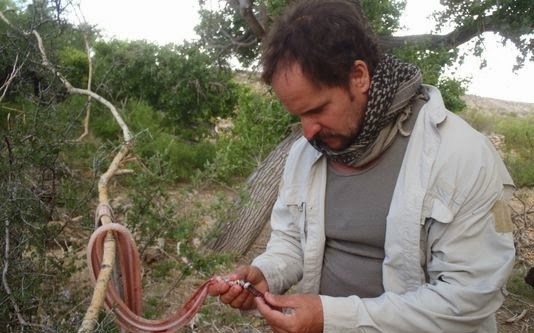 Sean Linnane: DUAL SURVIVOR's JOE TETI - THE TRUTH EMERGES