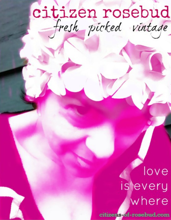 THE CITIZEN ROSEBUD: Citizen SPARKLE