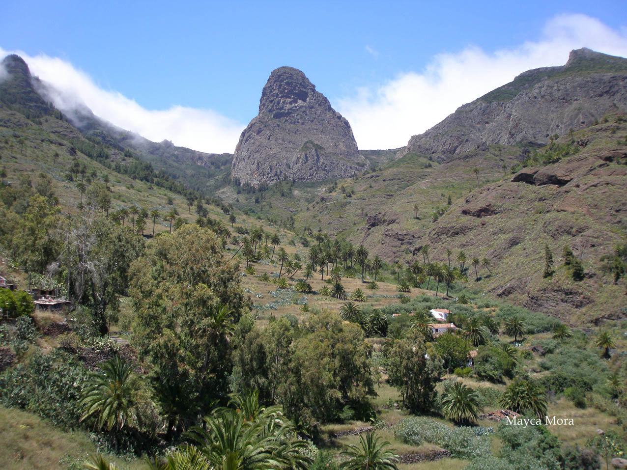 BenchijiguaLaGomera: Reserva Natural Integral de Benchijigua