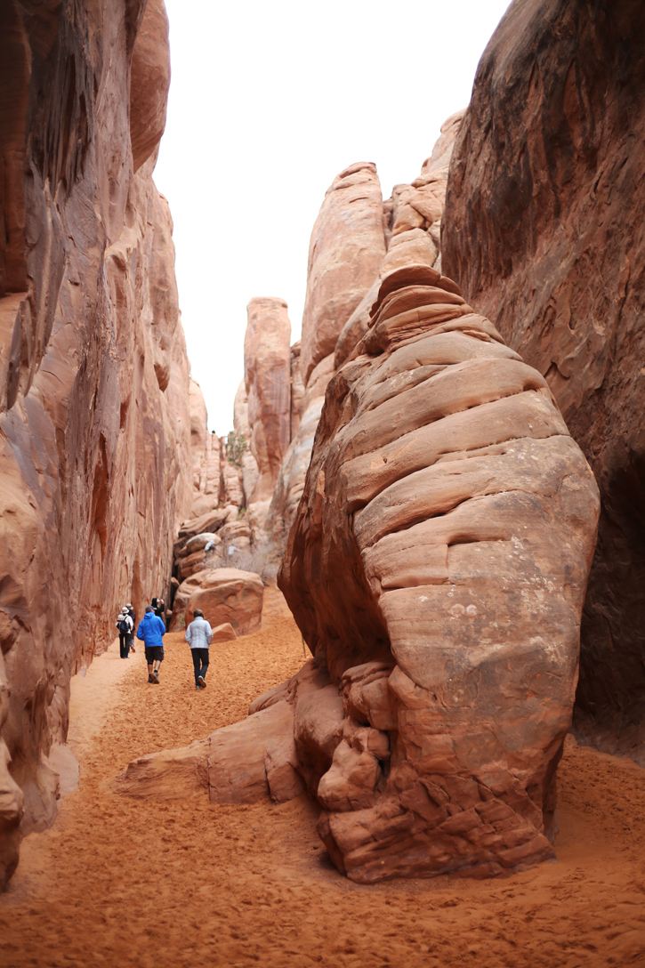 fox and gypsy: Travelogue; Moab