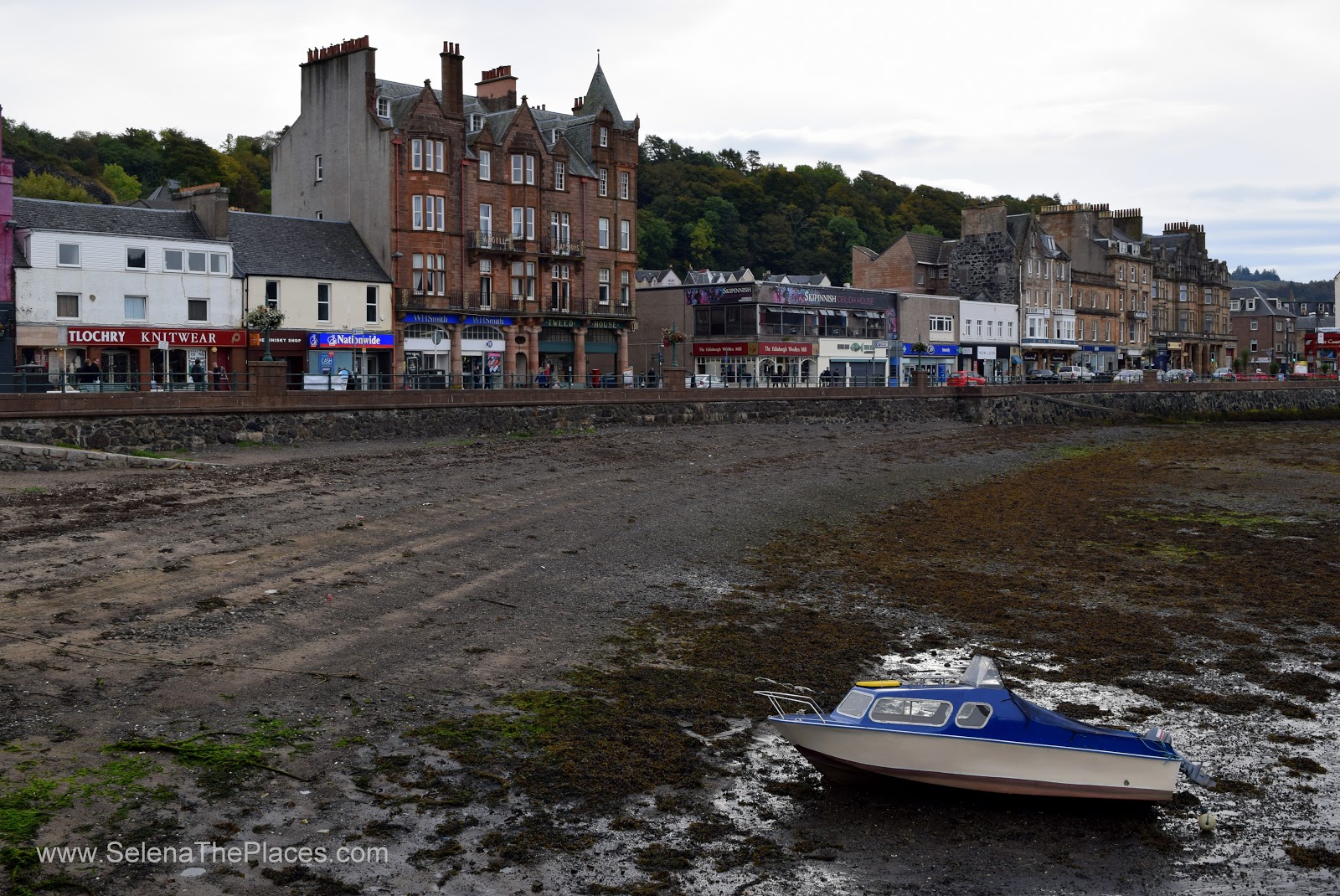Oh, the places we will go!: A Coo & a Castle in Oban, Scotland