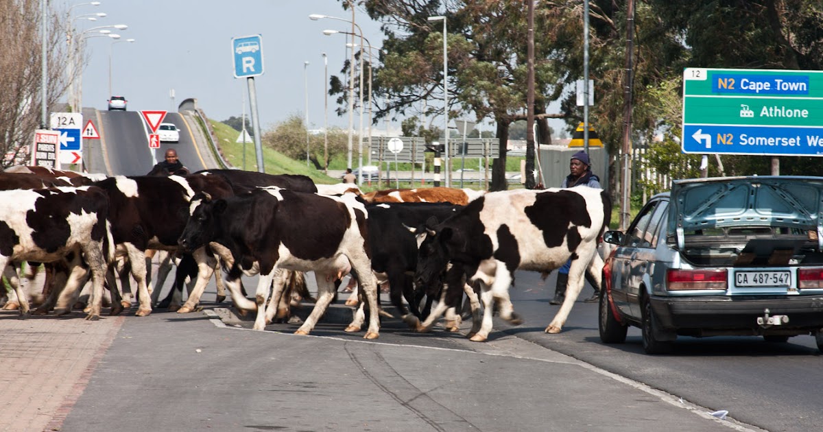 Travel And Trade South Africa