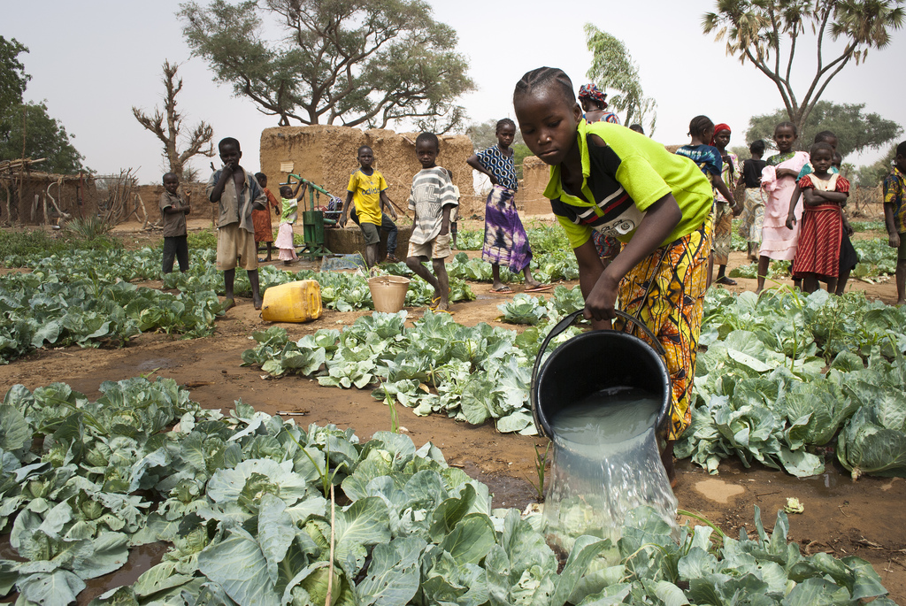 ZARMA PEOPLE: NIGER`S WARRIOR TRIBE AND HIPPOPOTAMUS HUNTERS