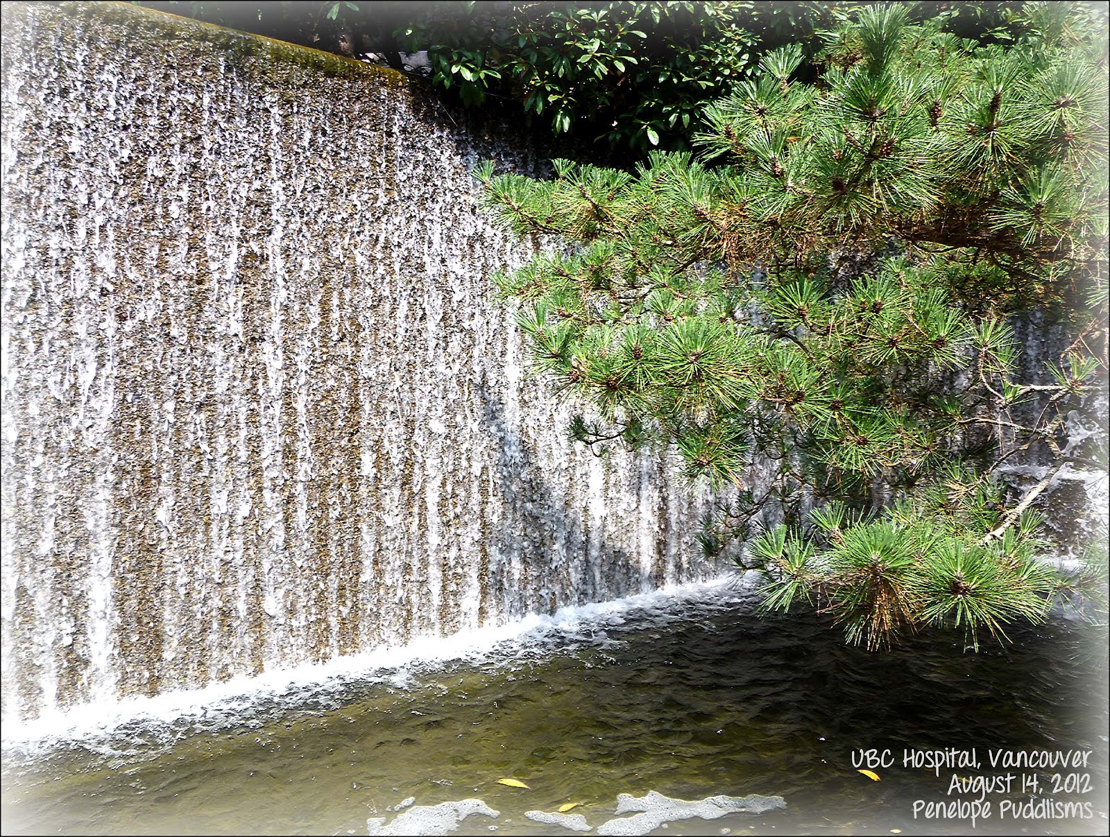 Postcards From Penelope Puddle: Mesmerizing Water Wall At UBC Hospital