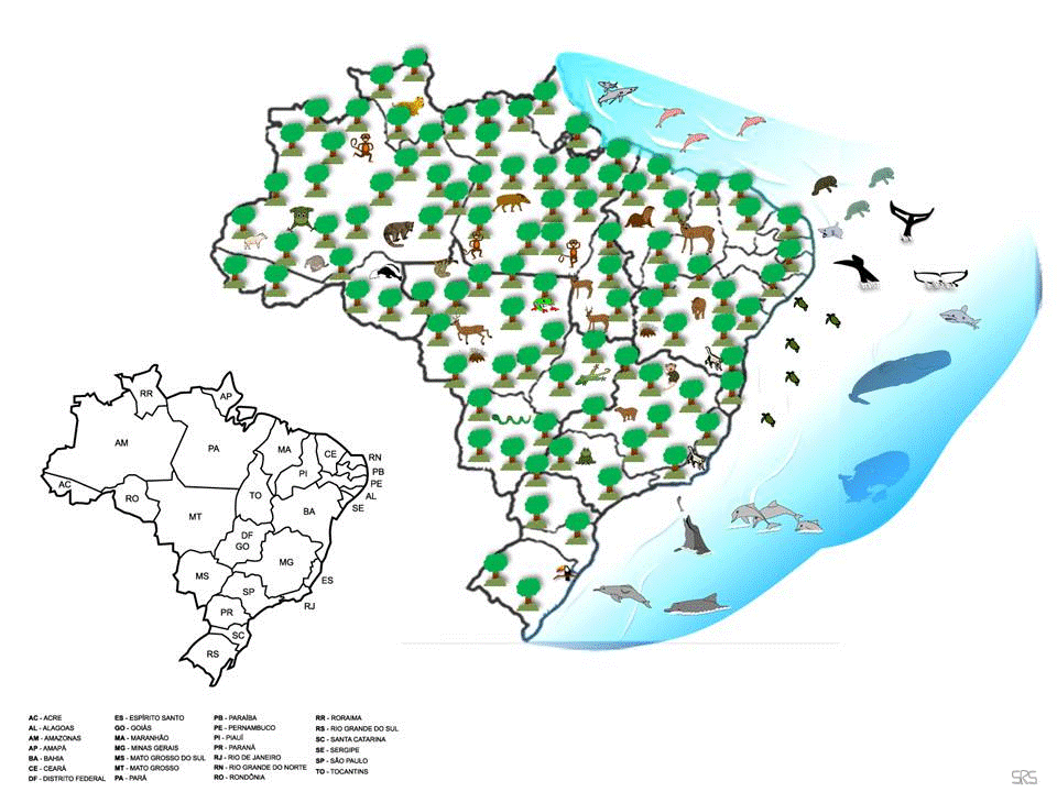 Blog do Amigo Nicola: AULA DE GEOGRAFIA: A COSTA BRASILEIRA