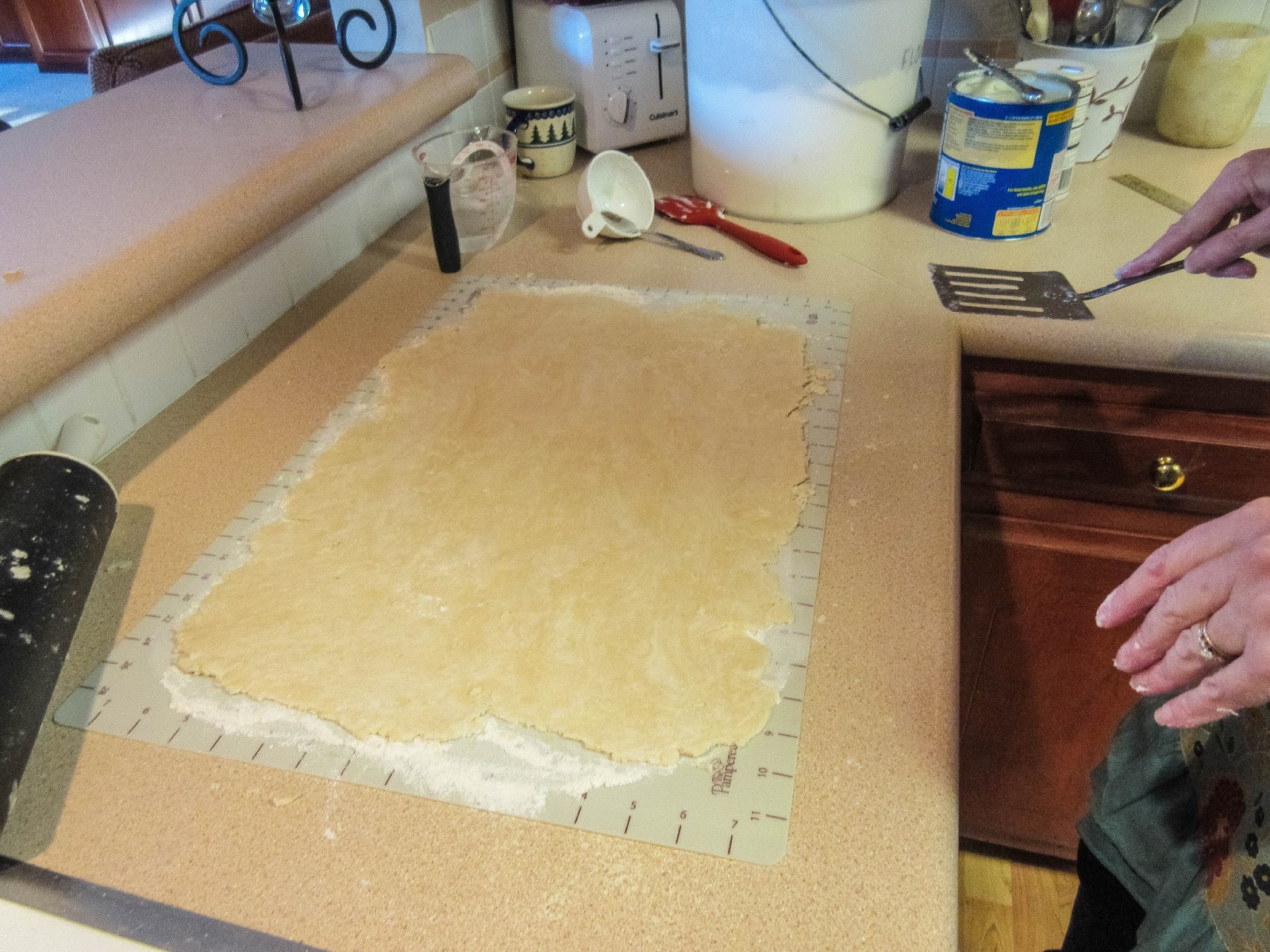 Cannundrums: Peacock and Vegetable Pie