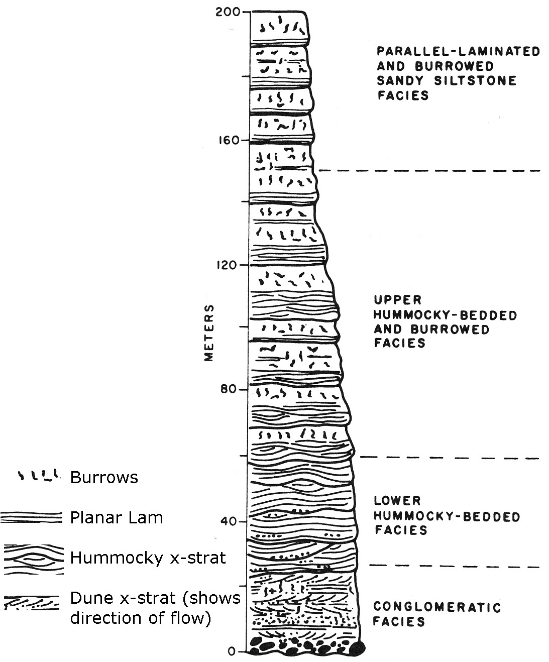 The Coastal Paleontologist: Paleontological research tips I: field ...