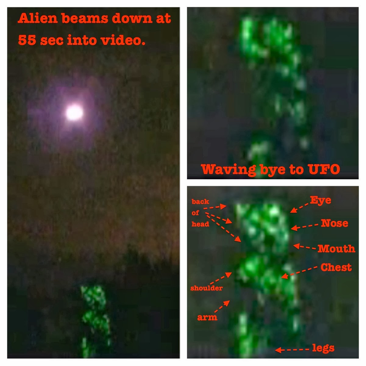 UFO SIGHTINGS DAILY: Glowing UFO Drops Off Green Glowing Alien, Then ...