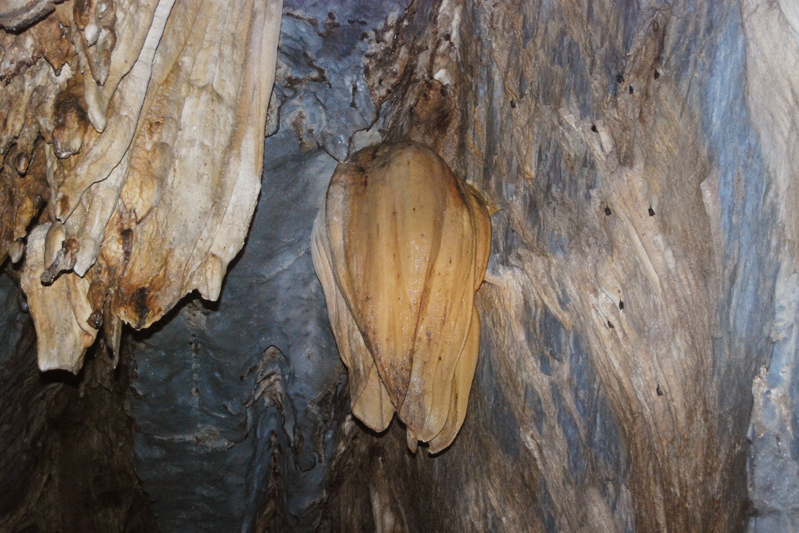 PALAWAN HOTELS, RESORTS, AND ATTRACTIONS: PUERTO PRINCESA SUBTERRANEAN ...