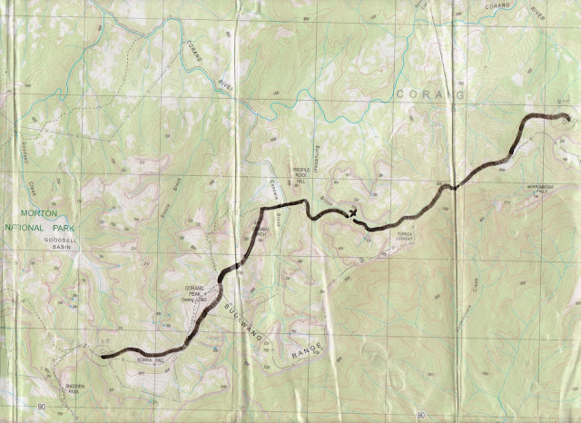 Amanda Findley Shoalhaven Greens: Wog Wog to the Castle Walking Trail ...