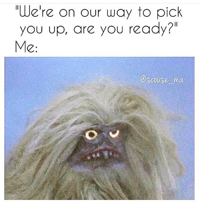 The Sorority Secrets: A Sorority Girl's Favorite Memes The Sorority Secrets: A Sorority Girl's Favorite Memes