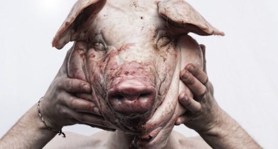 Misteri Manusia Babi