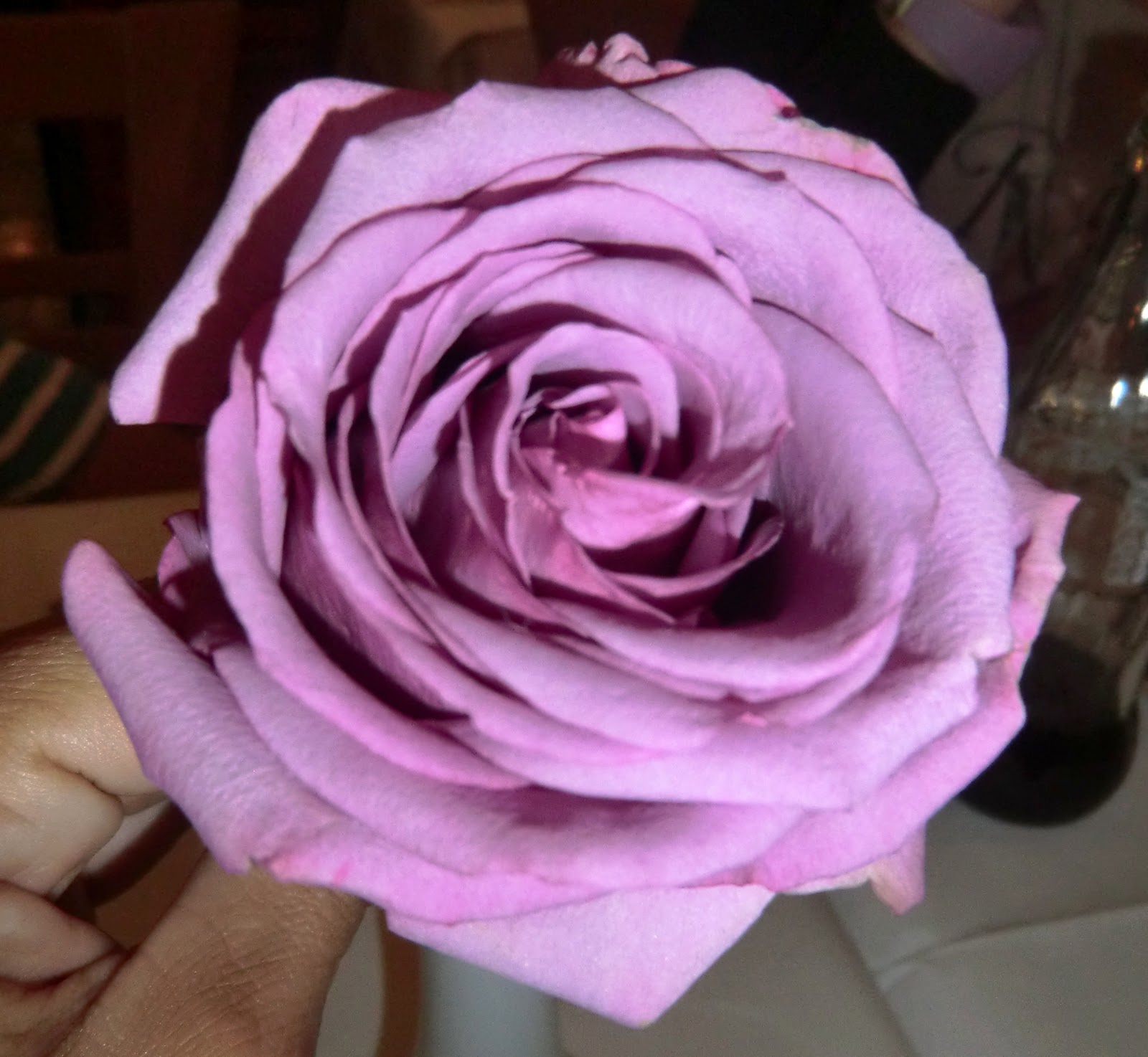 BlancoRoto: ROSA- ROSAE