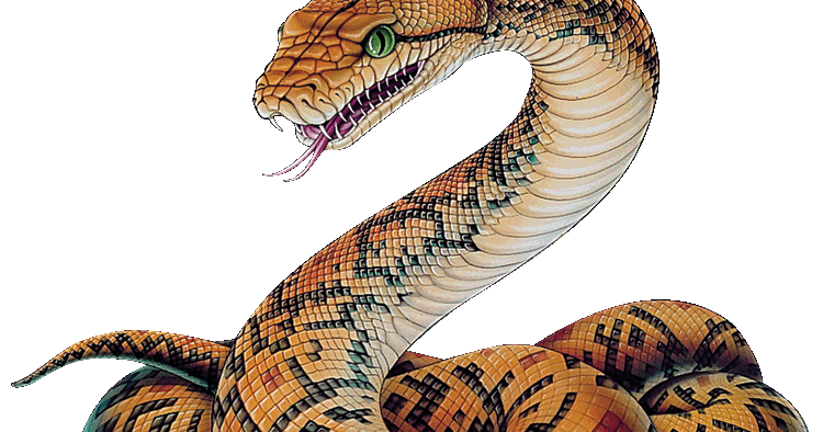 Beyond The Barriers: Declaring Defeat Over the Spirit of Pythos