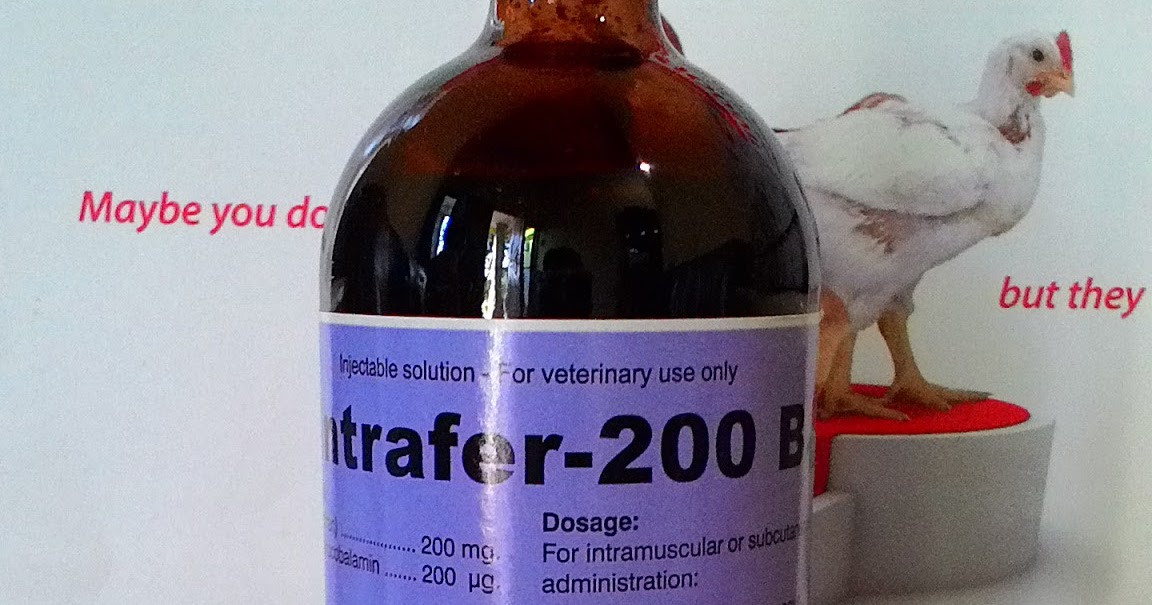 INTRAFER-200 B12 Mengatasi Anemia dan Memacu Pertumbuhan pada Sapi dan ...