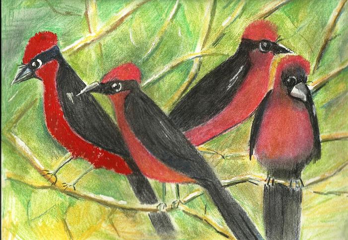 El color de los andes: Sangre de toro. Las penas y las alegrías.