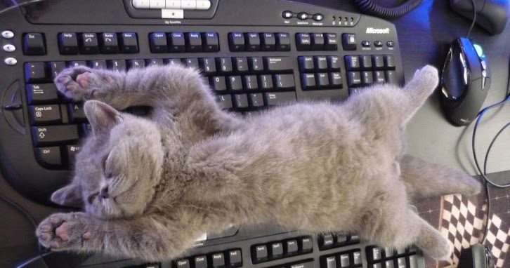 Support, Questions, Help and Feedback - Please all read *Updated 16th ...