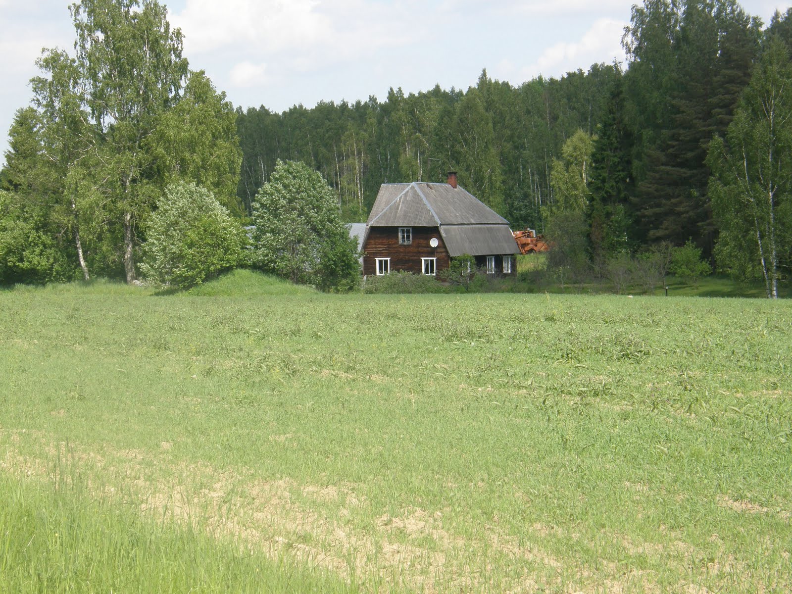 EESTIMAA PÄEVIK - ESTONIAN BLOG: ORAVA