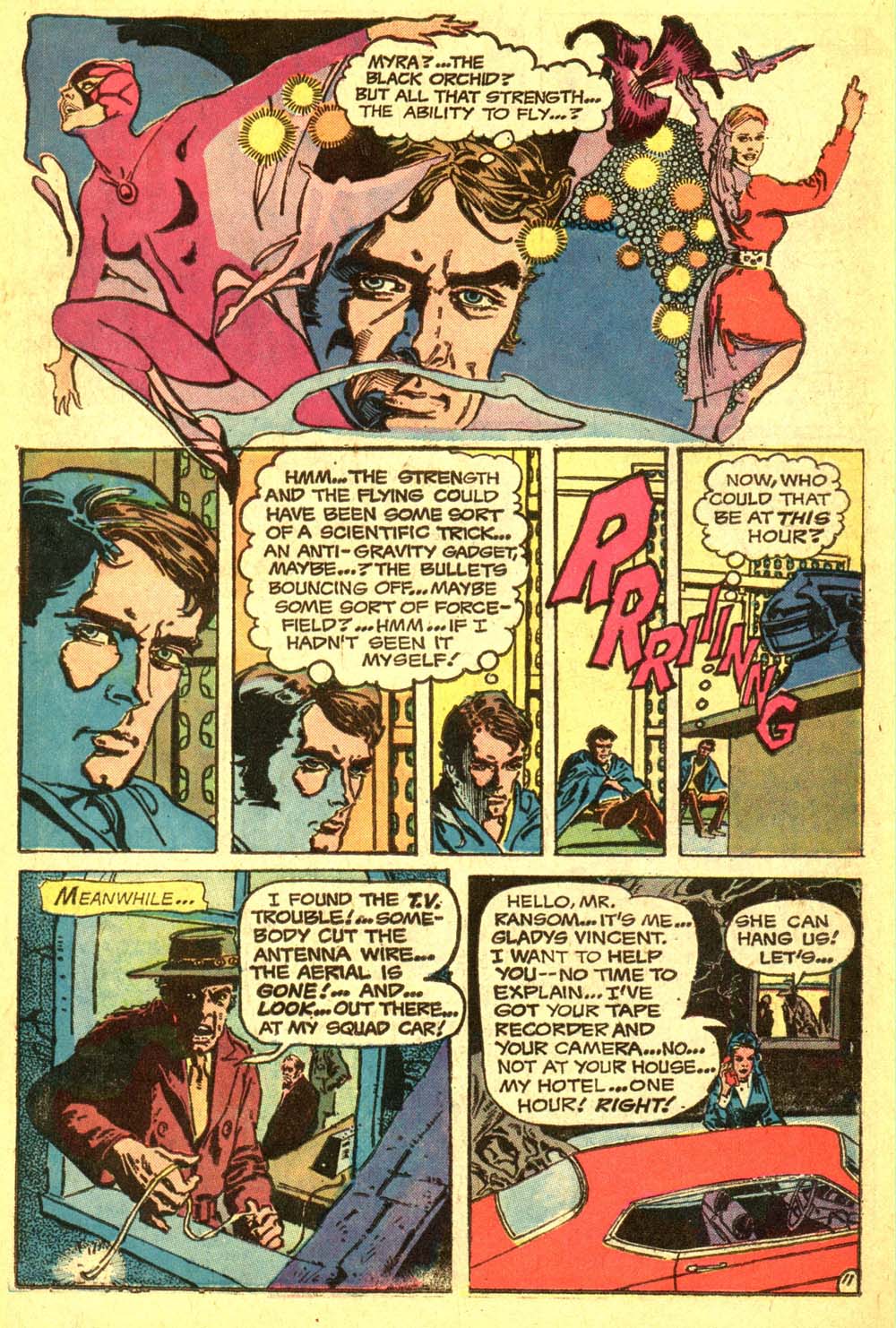 Diversions of the Groovy Kind: Decent Comics: "Black Orchid" by Mayer ...