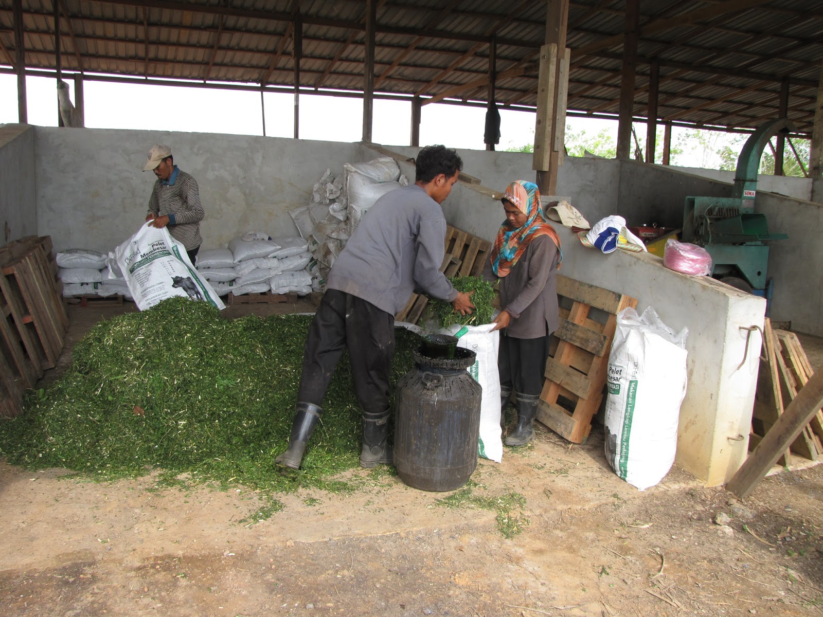 Laka Temin Silaj Sdn Bhd: Silaj Napier dan Jagung