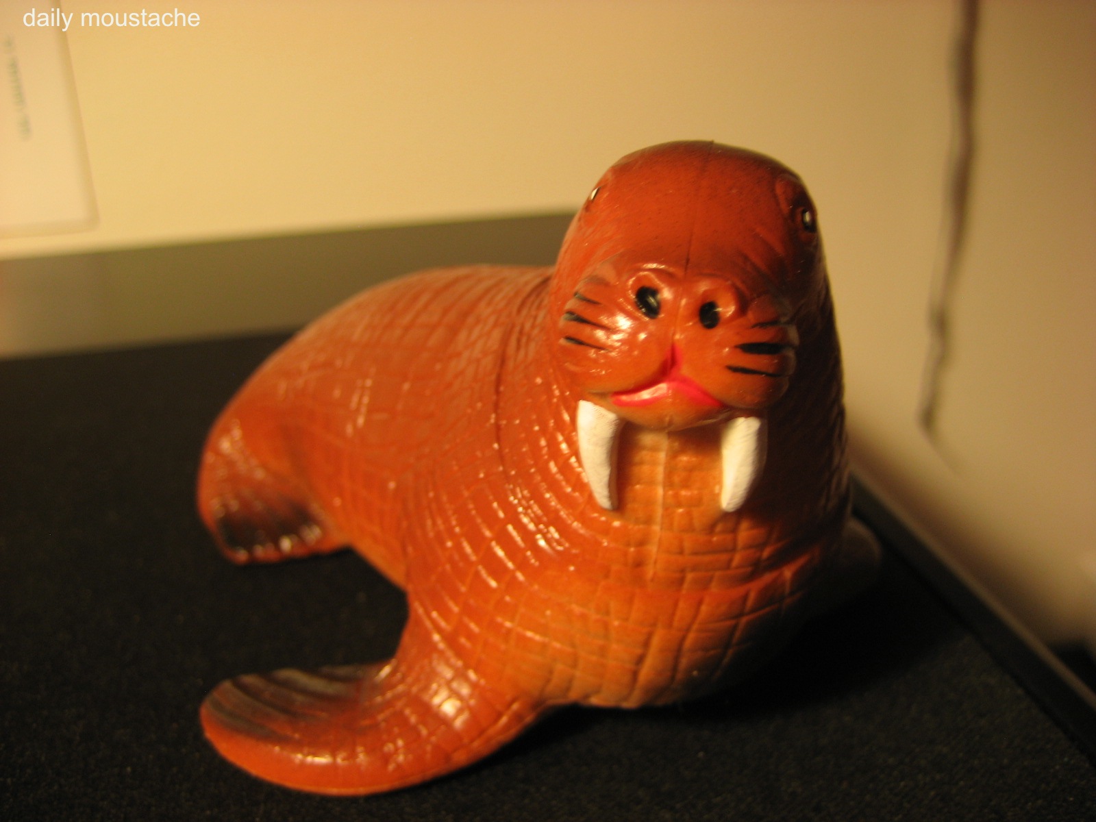 dailymoustache: February 2012