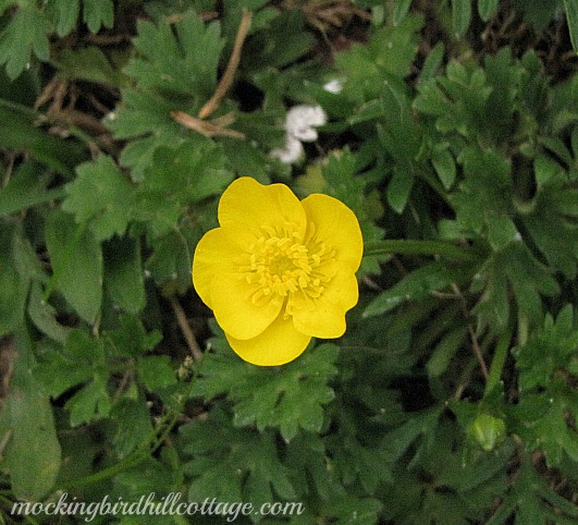 Communing with the Ground