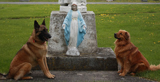 Cloë & Tallulah: The Church Dogs: May 2013