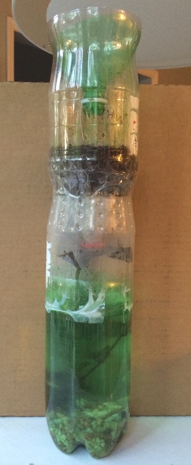 grass stains: Our science project