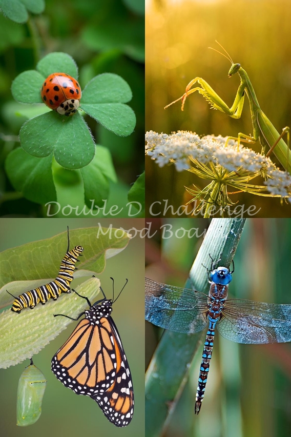 He"artful" Validation of Vicki: Double D, "Butterfly in Motion"