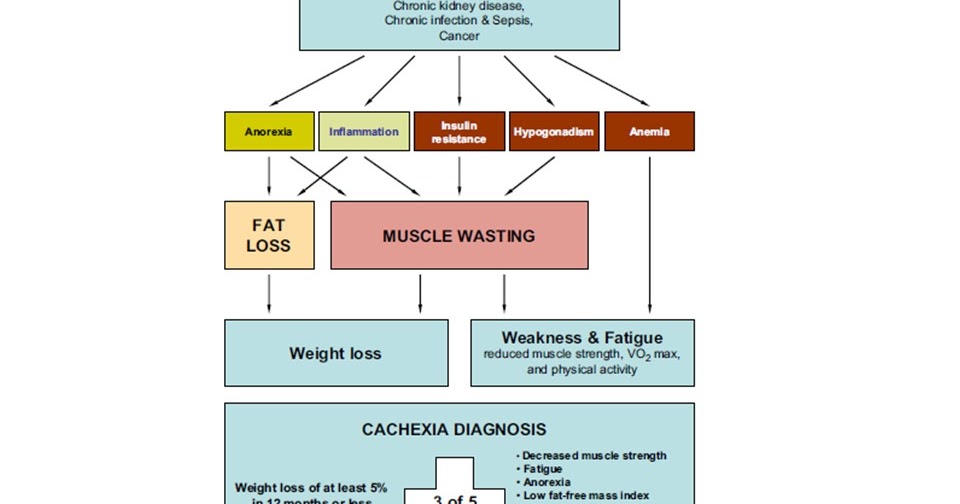 Evidence Sharing: Cachexia: A new definition