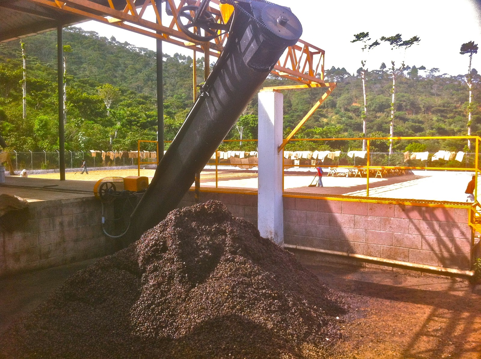 No Bold Coffee: Coffee Waste: Where Does it Come From, Where Does it Go?