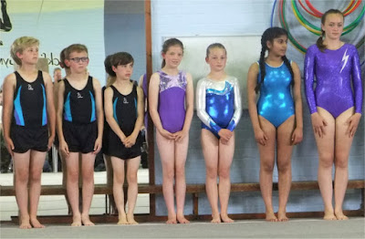 Danny's Blog: Lisa Gymnastics Uckfield