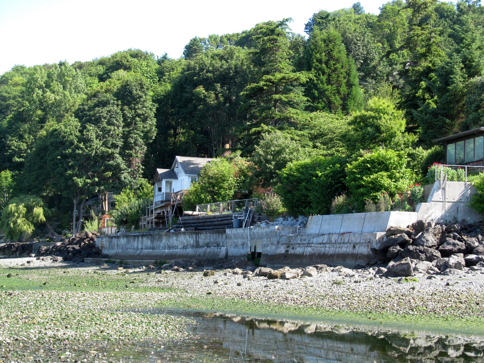 Gravel Beach: Magnolia Bluff