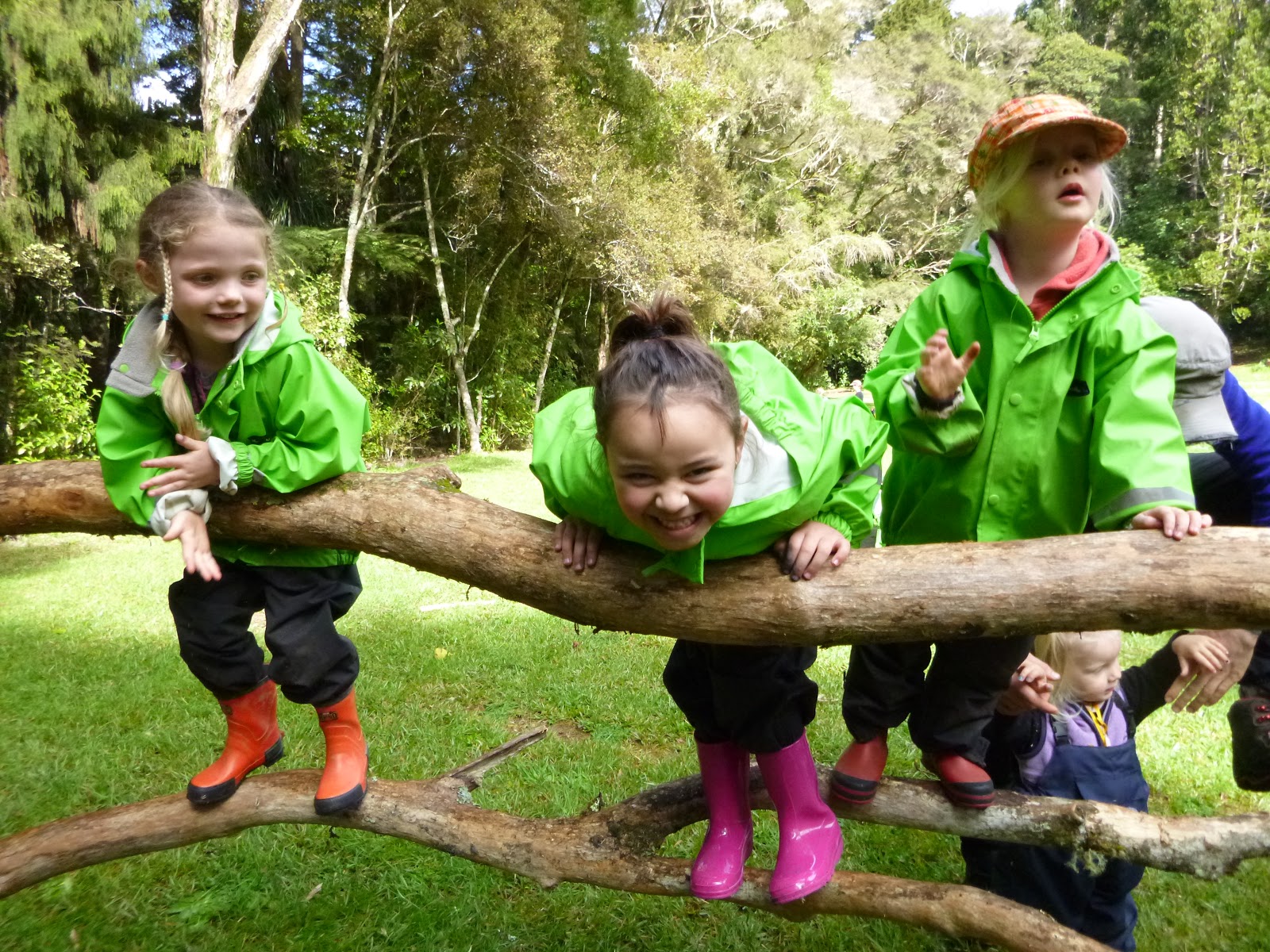Mairtown Kindergarten: What a surprise discovery on the nature programme