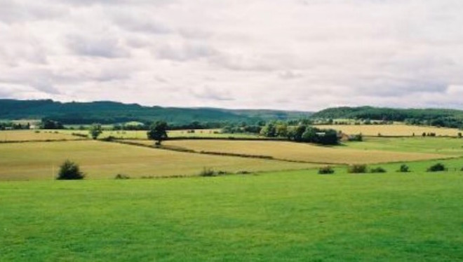 Scotch Regions and Flavors - Grapes & Grains