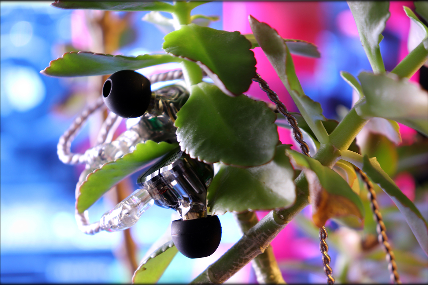 KZ BA10 (Knowledge Zenith) | Headphone Reviews and Discussion - Head-Fi.org