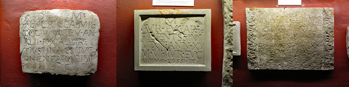 The Language of Stone: The Crypt