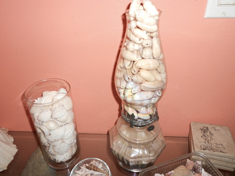 Del's Shells: More Ways to Display Shells