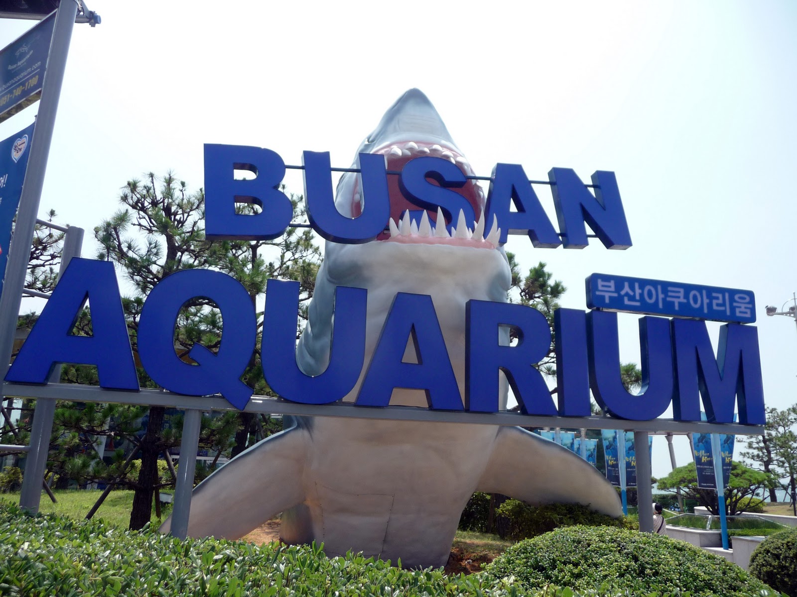 Busan Aquarium Most Popular Attractions South Korea Tourism ~ Asia Tour ...