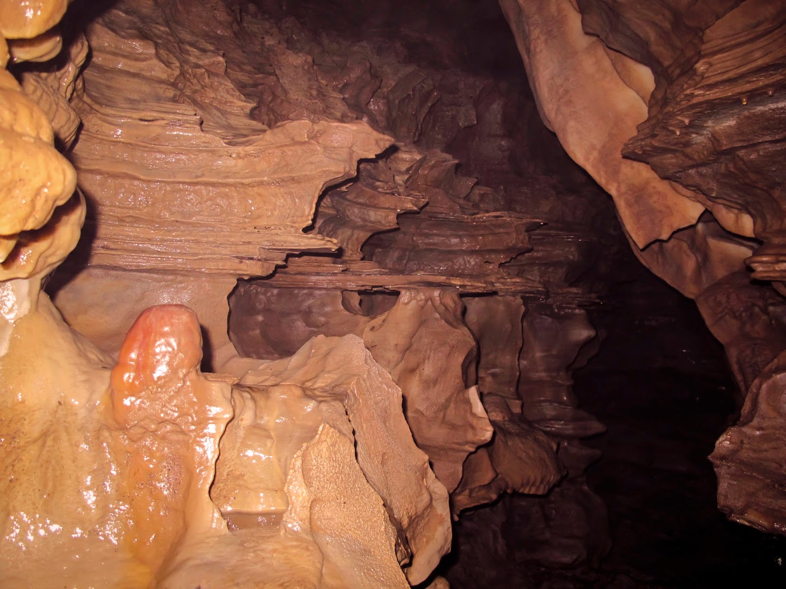 SHILOH CAVE - ADAM HAYDOCK