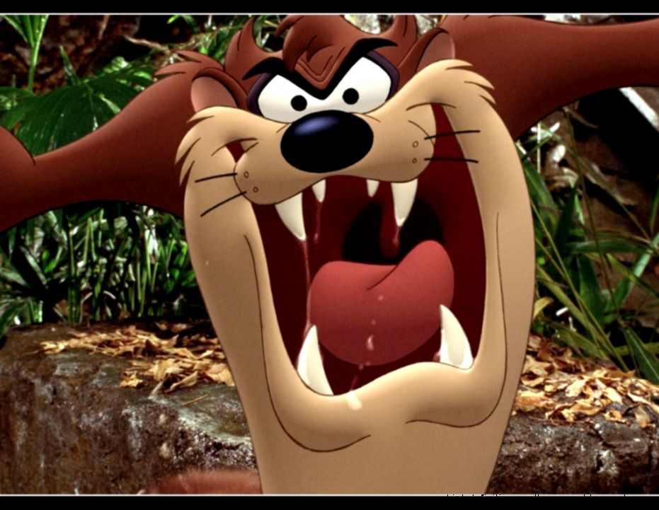 Wallpapers Hd Tazmania For Desktop | High Definitions Wallpapers