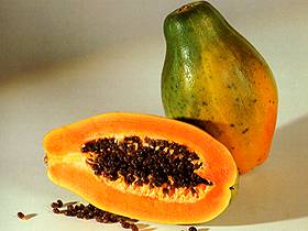 TERAPII ALTERNATIVE SI TRATAMENTE NATURISTE: PAPAYA, BUN PENTRU BOLILE ...