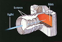 Fall Into Physics: How Does The Human Eye Work