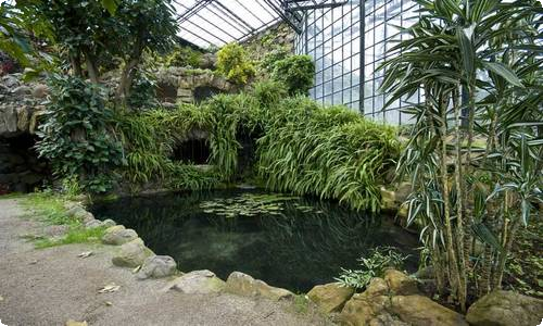 M76 - Catorze Remolares: Estufa Fria de Lisboa