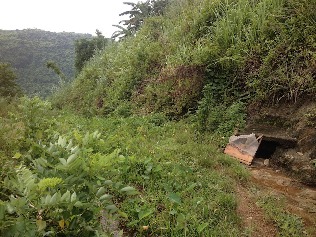 Skookum Mountaineers: Mt. Parawagan (Traverse) - A mountain in Wawa ...