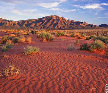 Great Australian Desert ~ Information News
