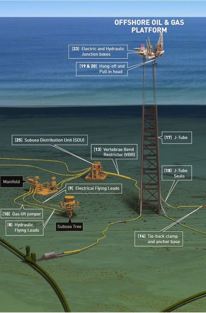 Borucoba oil and gas industry: Introduction to Subsea oil & Gas Industry