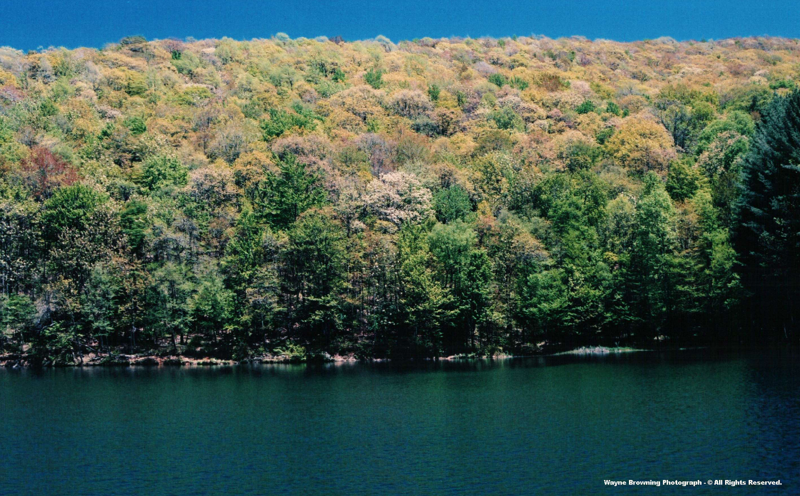 The High Knob Landform: Mid-Spring 2012 - Precious Water Supplies