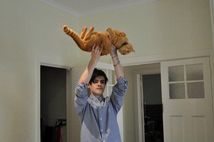 Miss Cellania: How to Properly Hold a Cat